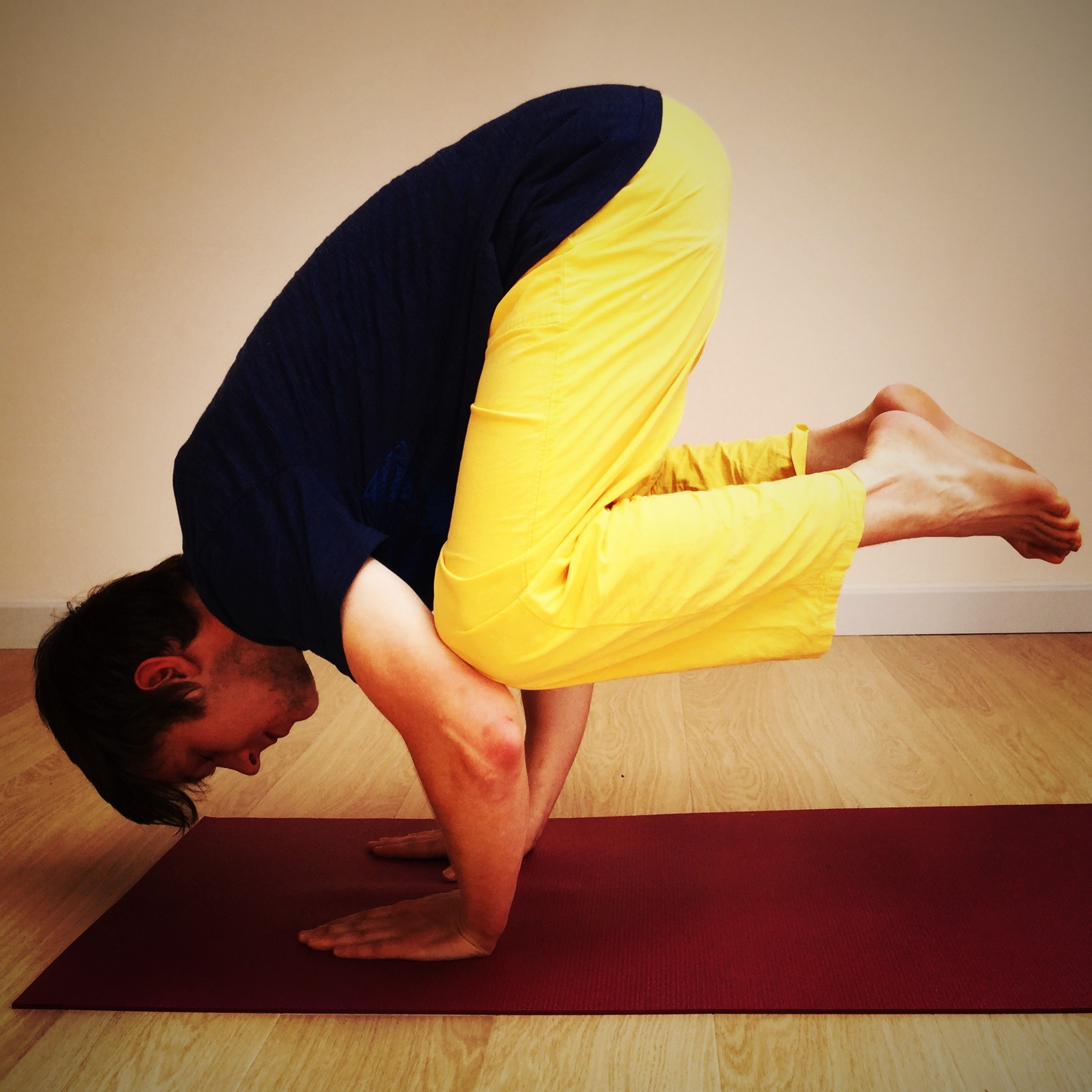 The Benefits of Balancing - viveka gardens