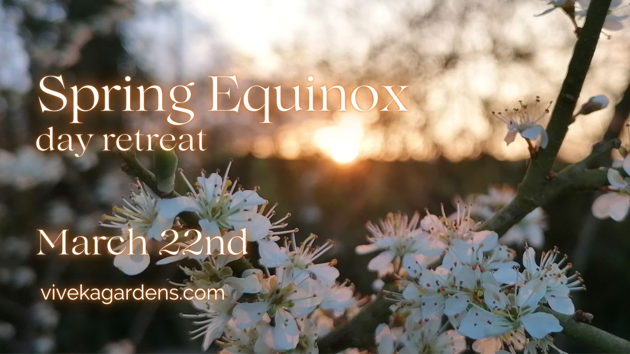 Spring Equinox Day Retreat - viveka gardens