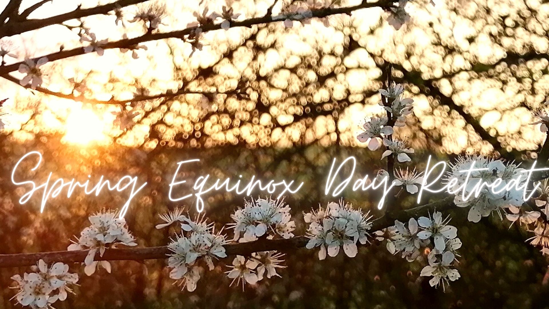 Spring Equinox Day Retreat - viveka gardens