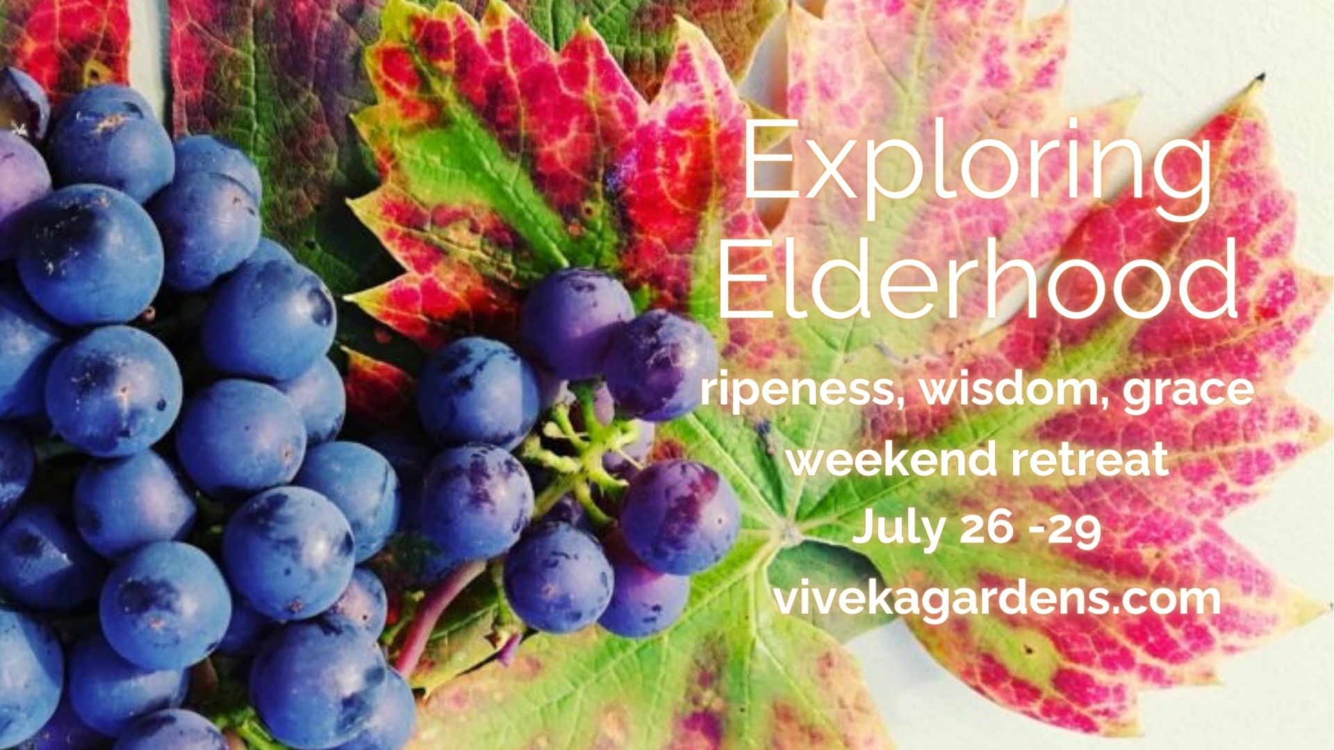Exploring Elderhood - viveka gardens