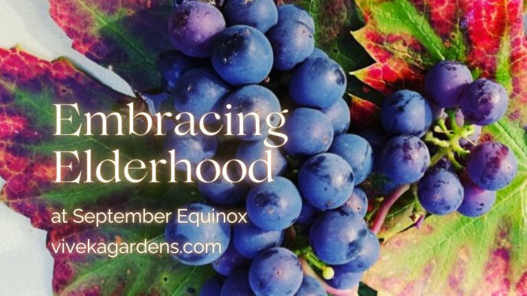 Embracing Elderhood at Equinox - viveka gardens